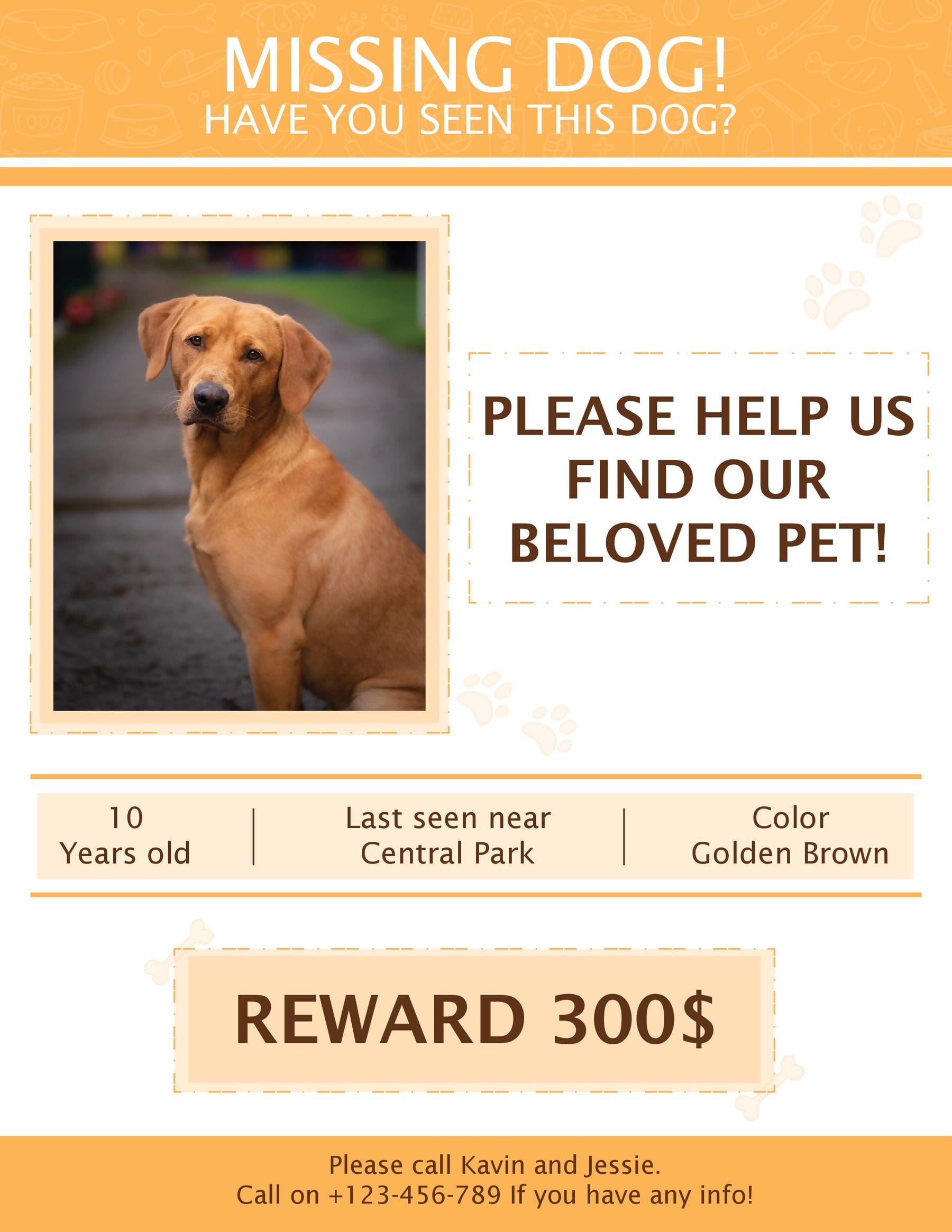 Informative Lost Dog Flyer Template - WordLayouts