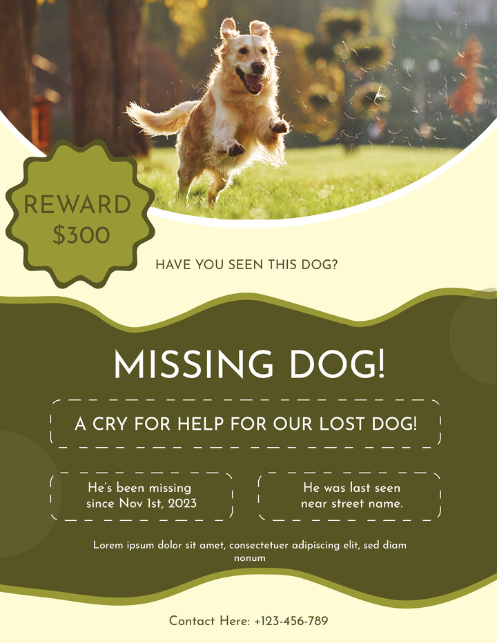 Eye-Catching Missing Dog Flyer Template - WordLayouts Eye-Catching Missing Dog Flyer Template - WordLayouts