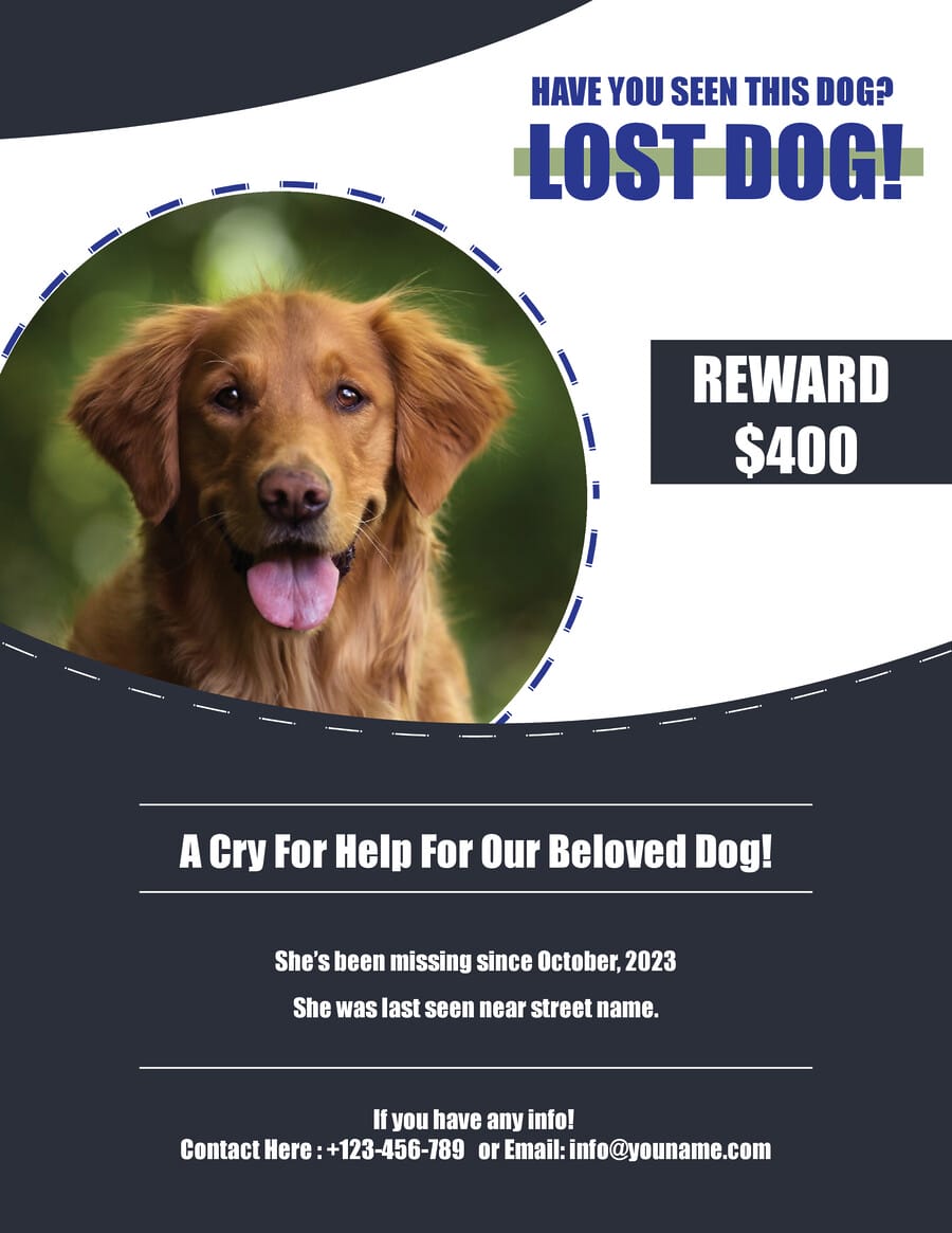 Free Lost Pet Flyers - Edit Online - Word, Adobe, GSlides - WordLayouts