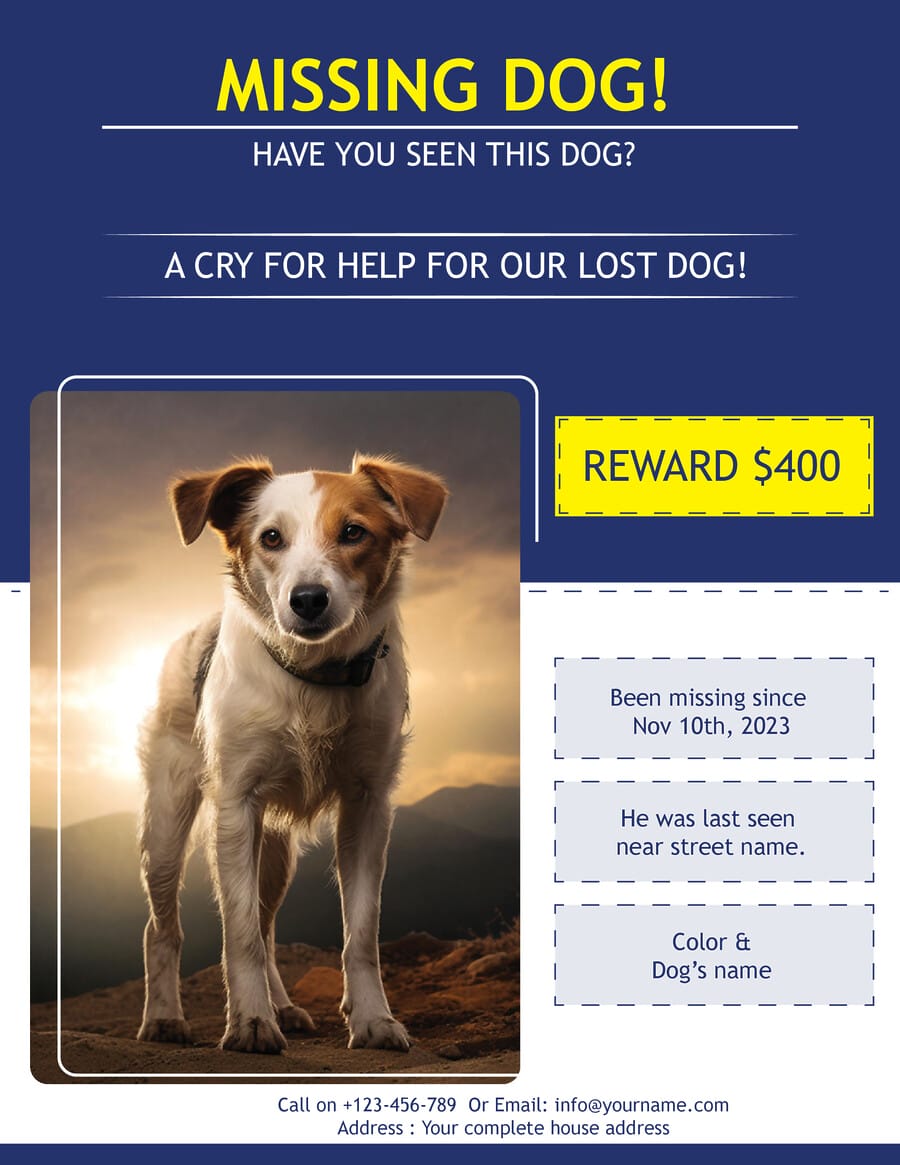 Free Lost Pet Flyers - Edit Online - Word, Adobe, GSlides - WordLayouts