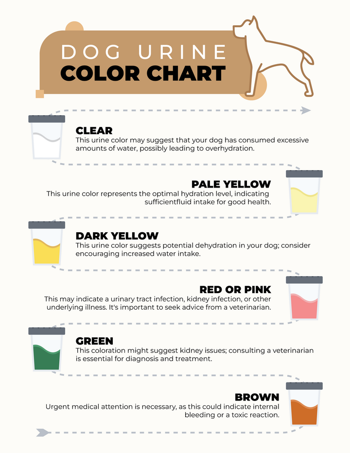 Printable Cat Urine Color Chart - WordLayouts Printable Cat Urine Color Chart - WordLayouts