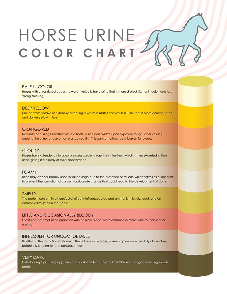 Printable Dehydration Urine Color Chart - WordLayouts