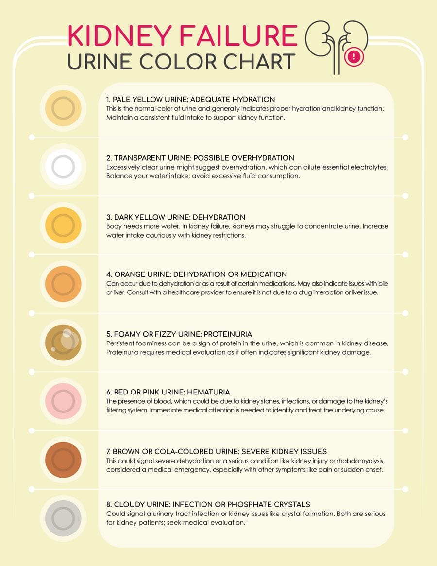 Free Printable Urine Color Charts - WordLayouts
