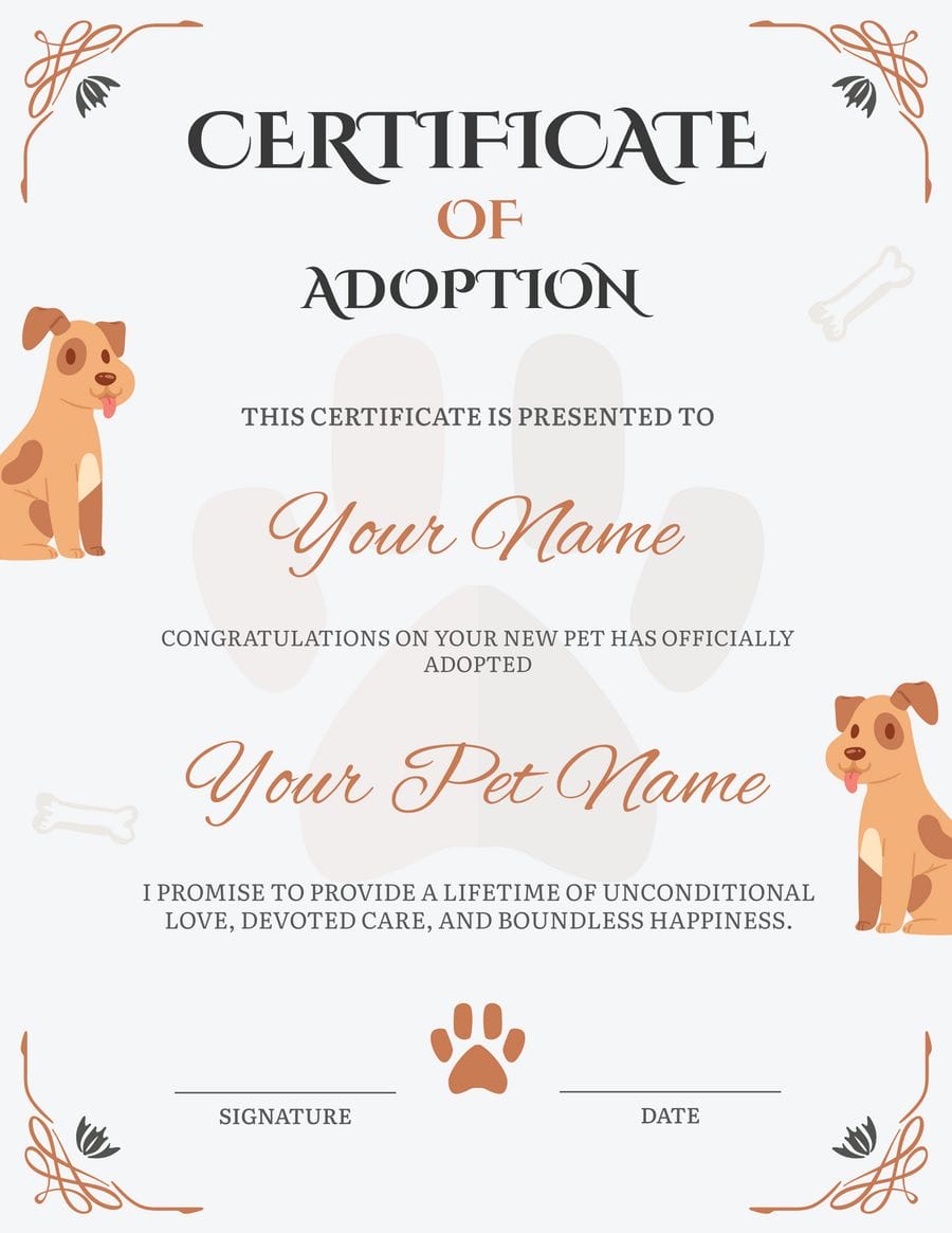 Free Adoption Certificate Templates by WordLayouts