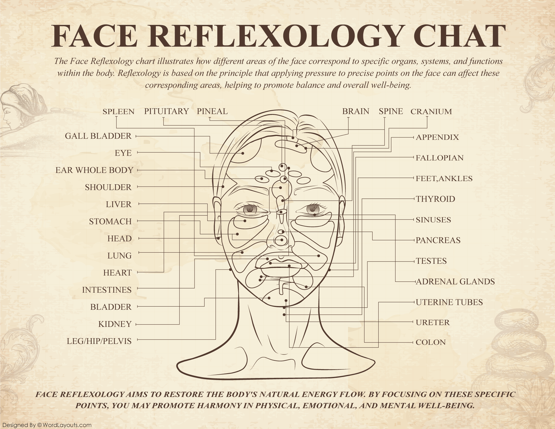 Reflexology Chart Hands and Feet - WordLayouts