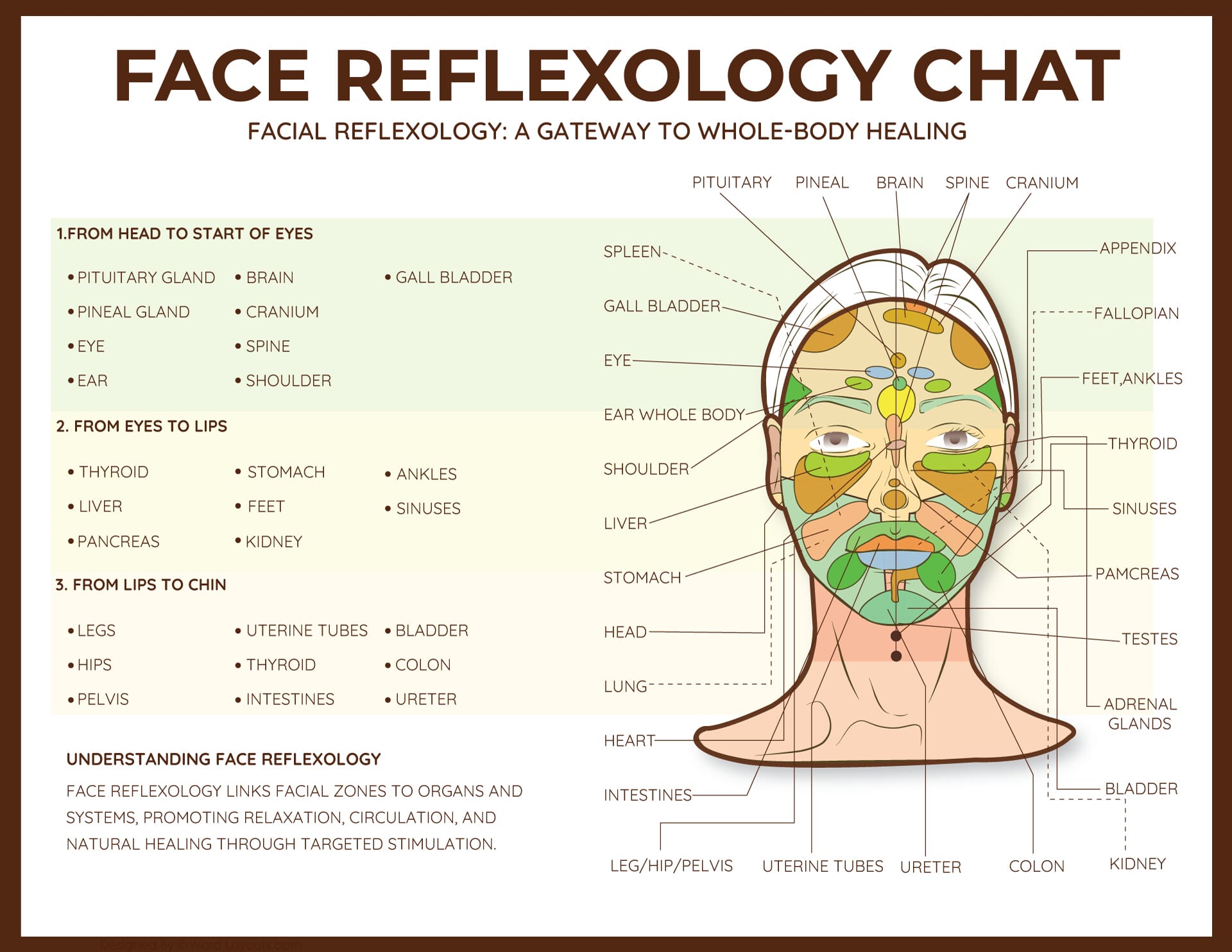 Free Reflexology Charts (Foot, Face, Ear, Hand)