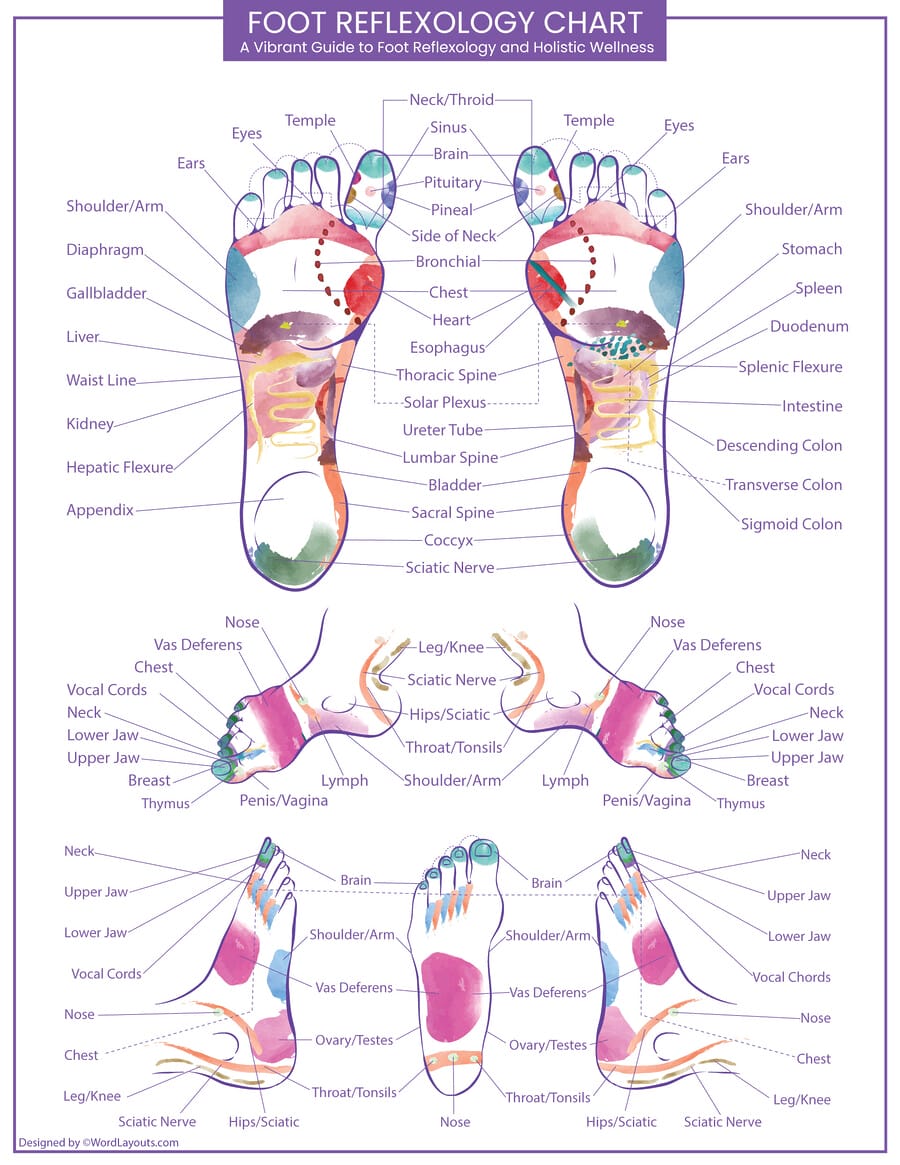 Foot Reflexology (Connections Chart) - WordLayouts