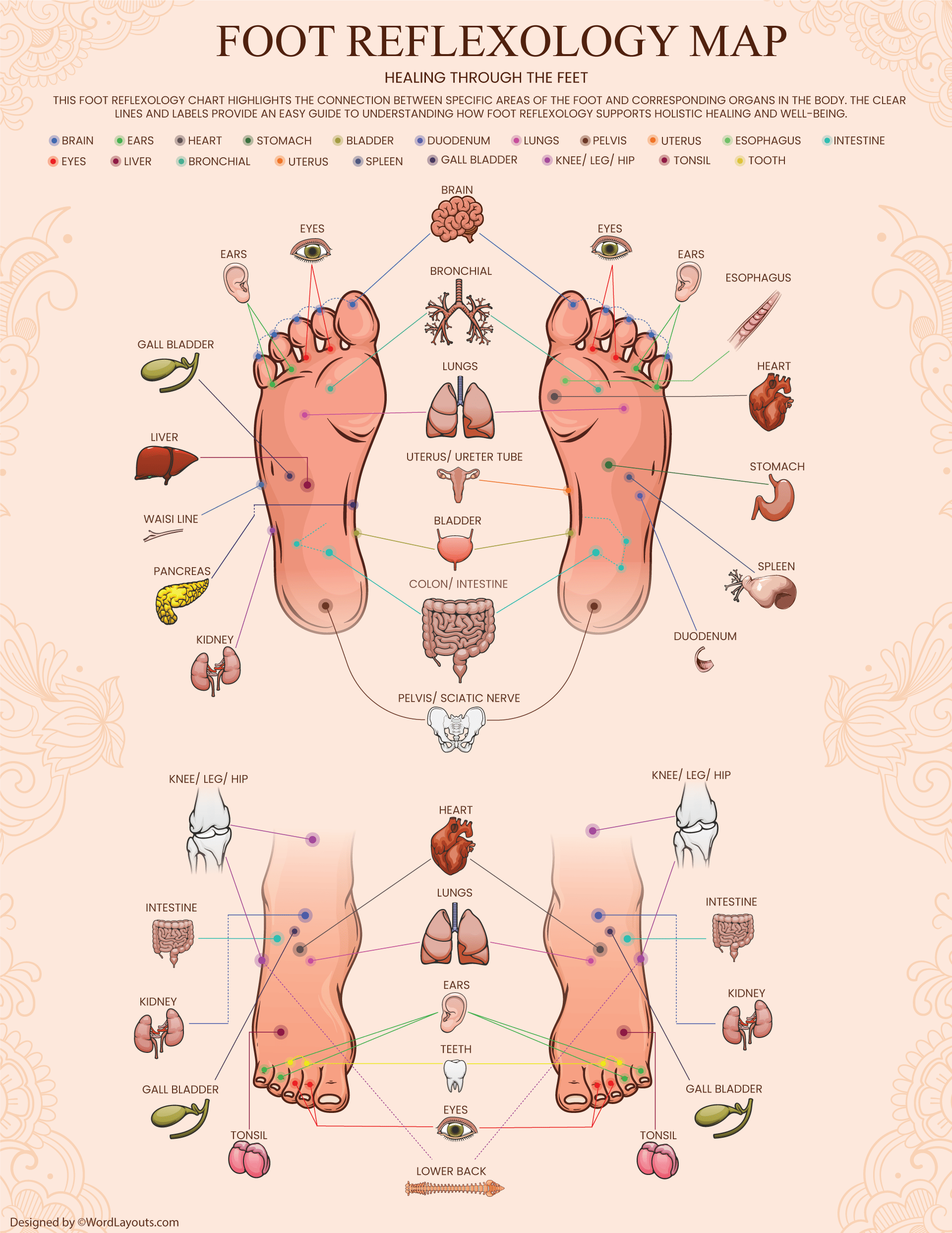 Detailed Foot Reflexology Chart (Printable) - WordLayouts