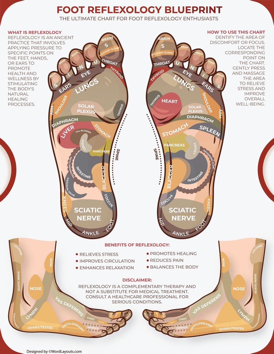 Printable Foot Reflexology Zones Chart - WordLayouts