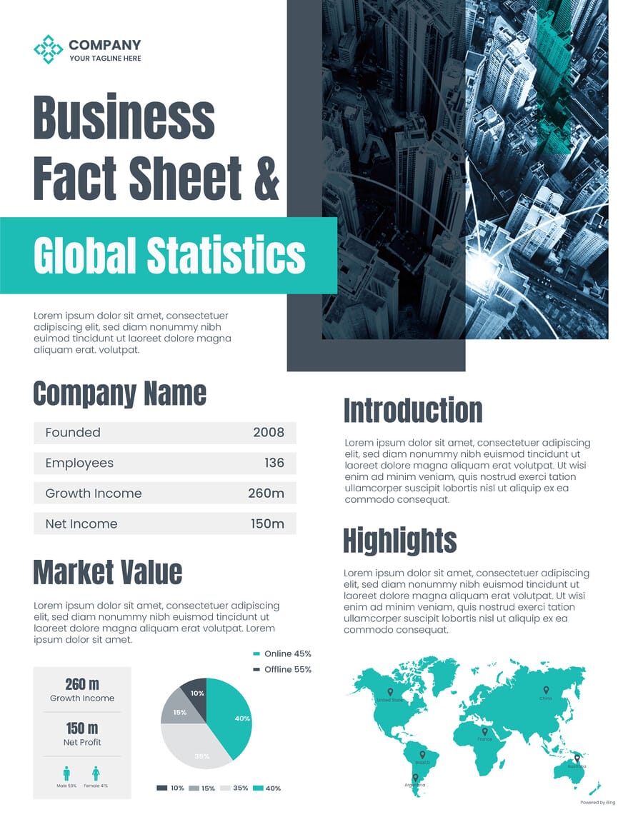 Comprehensive Company Fact Sheet Template - WordLayouts