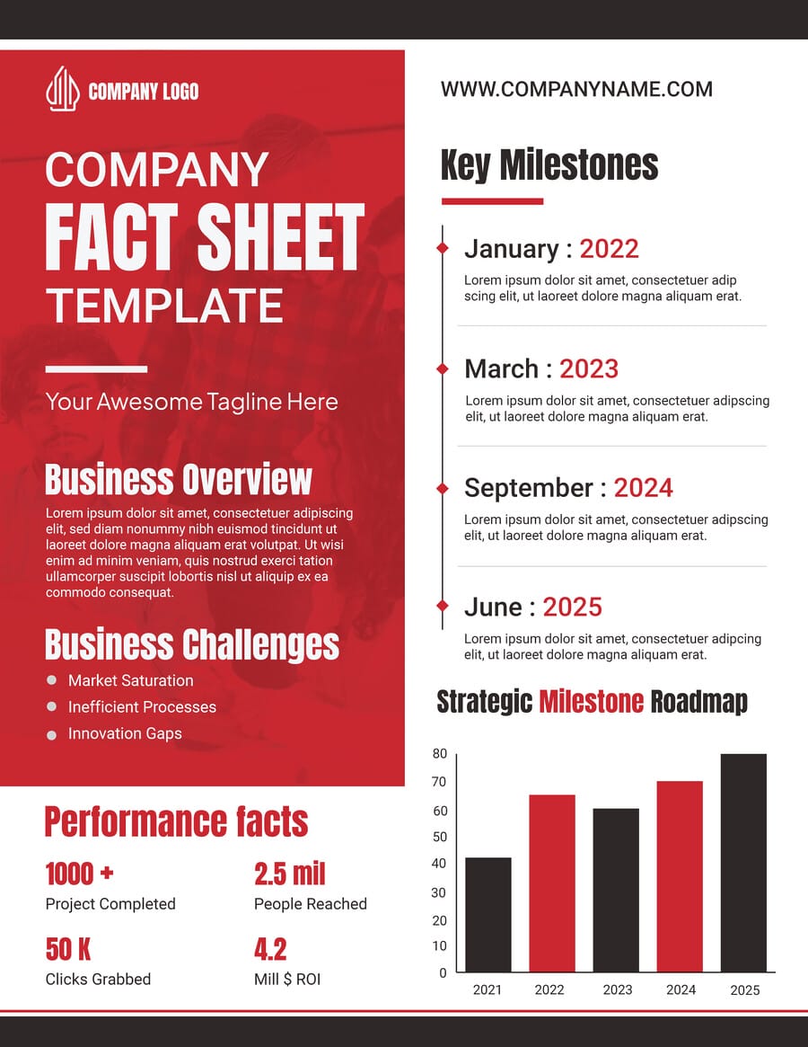 Printable Company Fact Sheet Template - WordLayouts